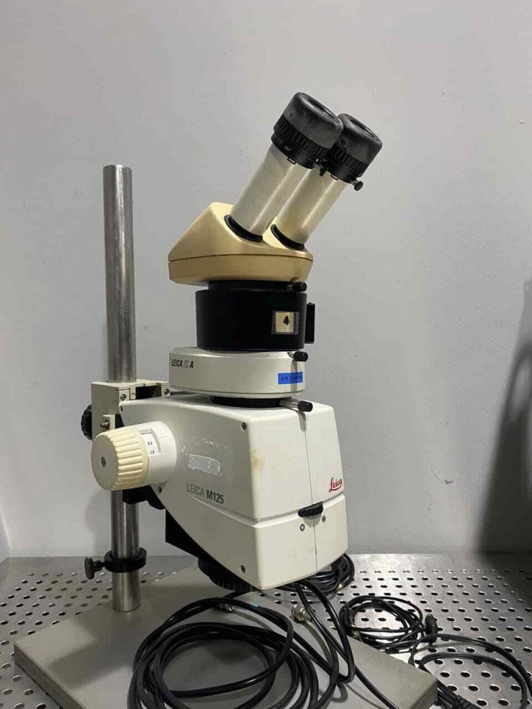 Leica M125 Stereo Microscope + IC A Video Camera + 327616 1.5x ...