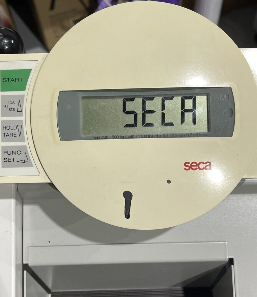 Seca 984 Electronic Bed and Dialysis scale with equipment trolley ...
